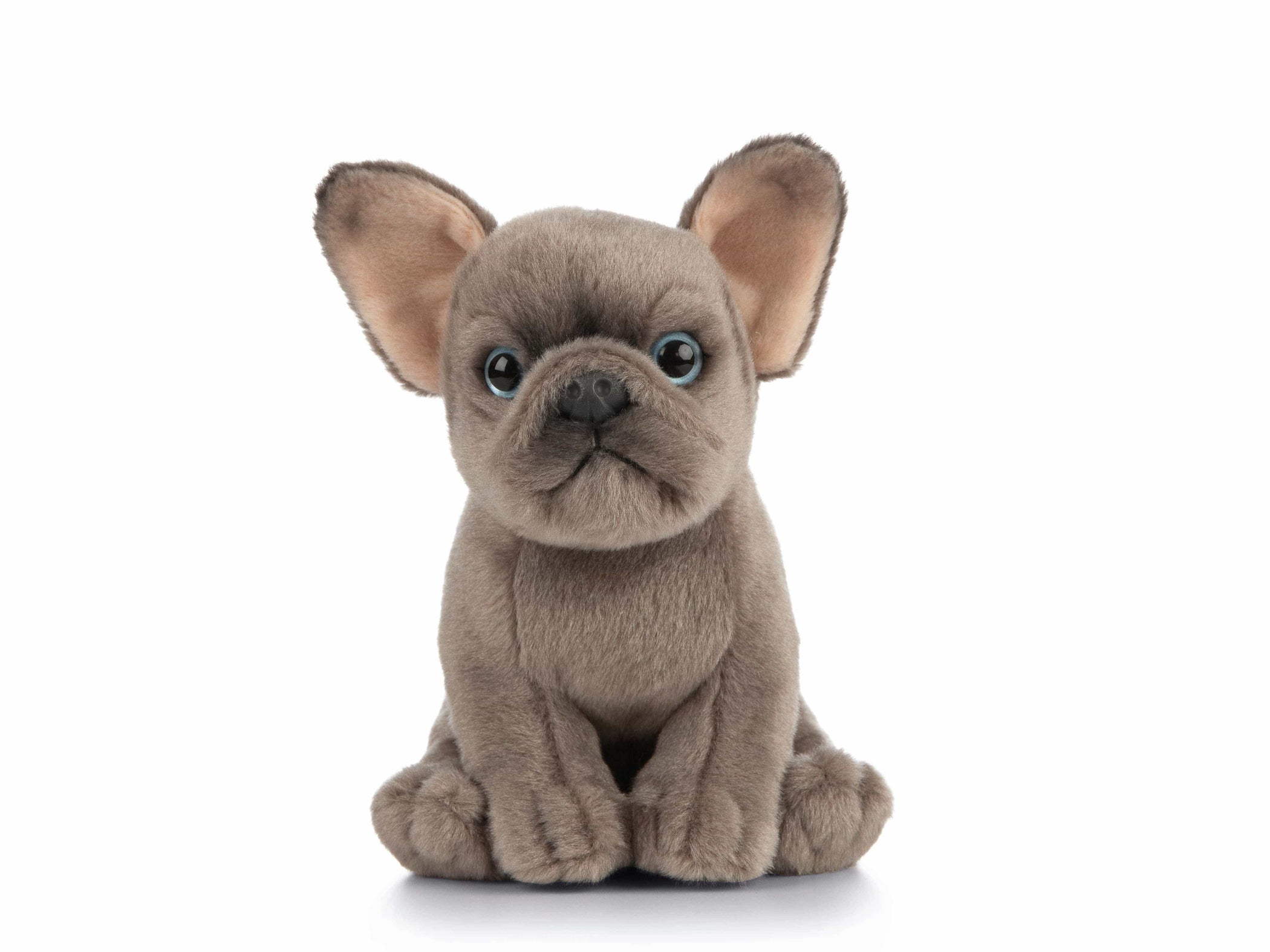 Soft Toys Dogs - Plush Dogs - Cuddly Dogs Soft Plush Toys - Stuffed ...