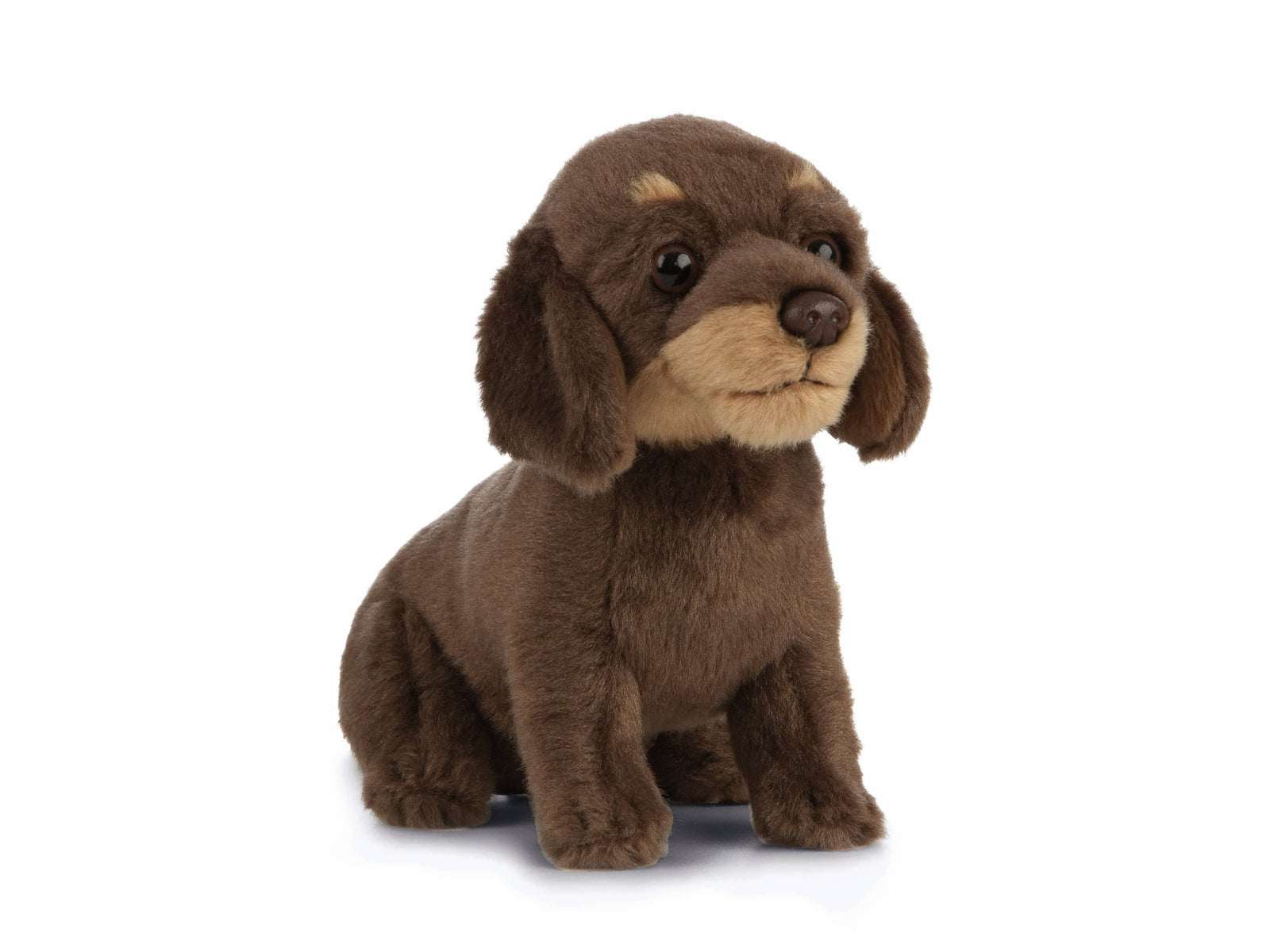 Soft Toys Dogs - Plush Dogs - Cuddly Dogs Soft Plush Toys - Stuffed ...